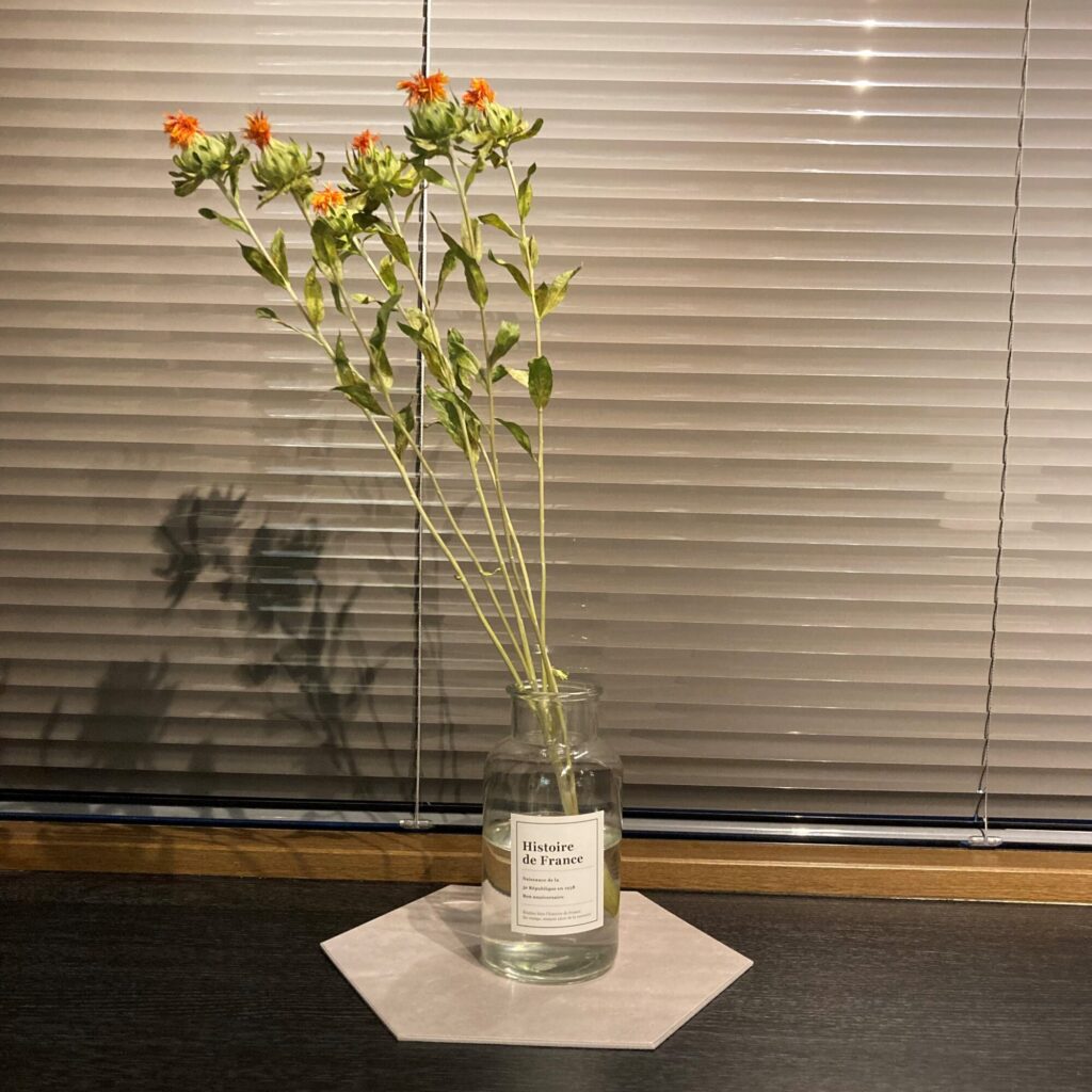 ファッション雑誌DomaniのWEB記事 監修 part5、6 | お知らせ | Atelier Box アトリエボックス